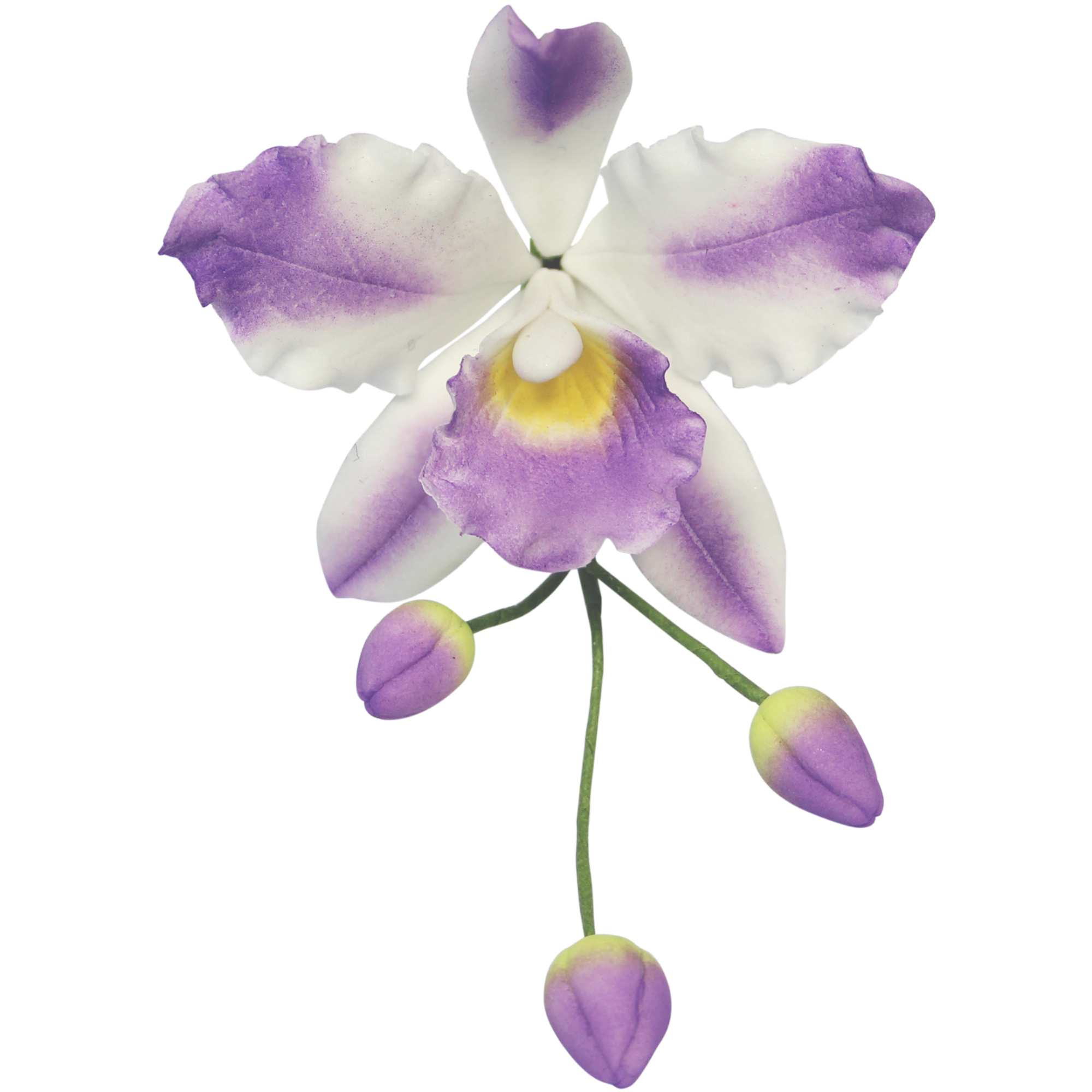 PME - Cattleya Orchid Cutters Set of 3 - Stainless Steel Flower | Sugar ...