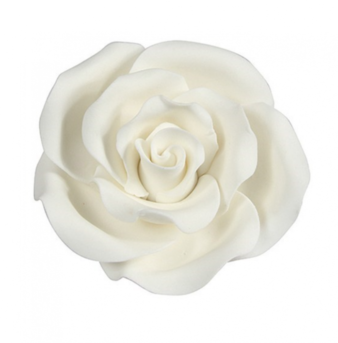 White Edible Icing Roses (50mm) Box 10 | Sugar & Ice